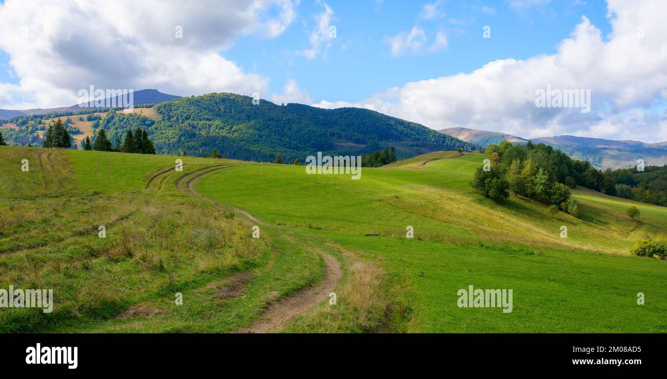 mountainous countryside scenery in early autumn. grassy rolling hills ...
