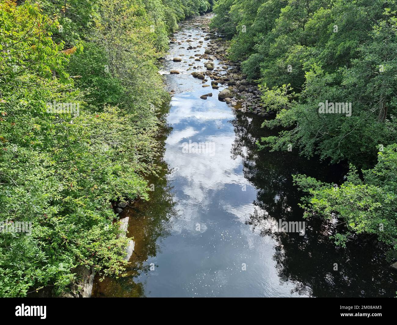Scottish river bank with trees Stock Photo - Alamy