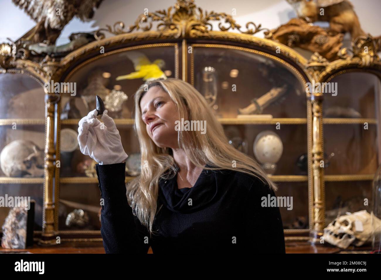 THE WEIRD AND THE WONDERFUL AT CURATED AUCTIONS Rachael Osborn-Howard ...