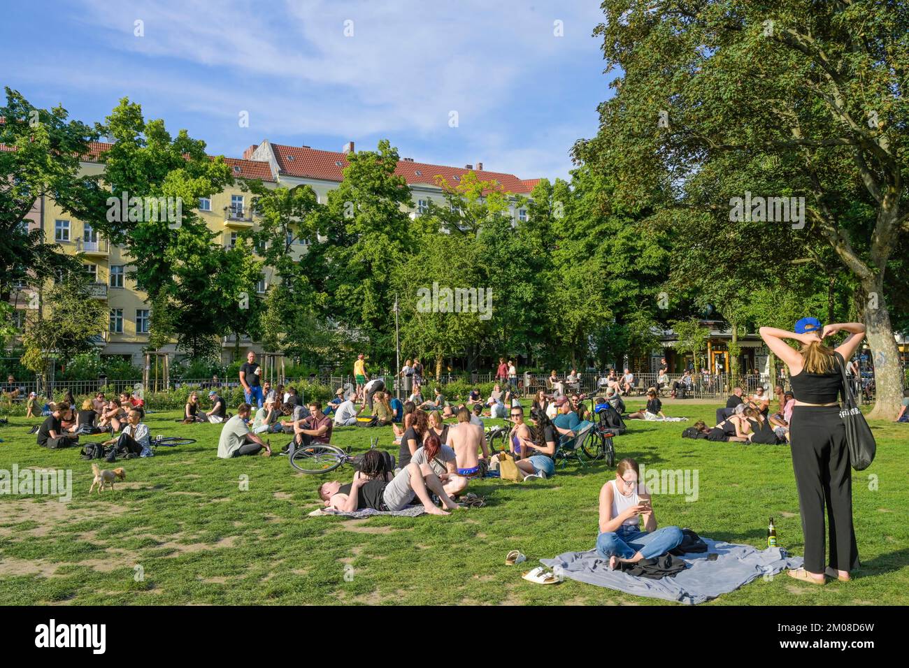 Menschen, Wiese, Freizeit, Boxhagener Platz, Friedrichshain ...