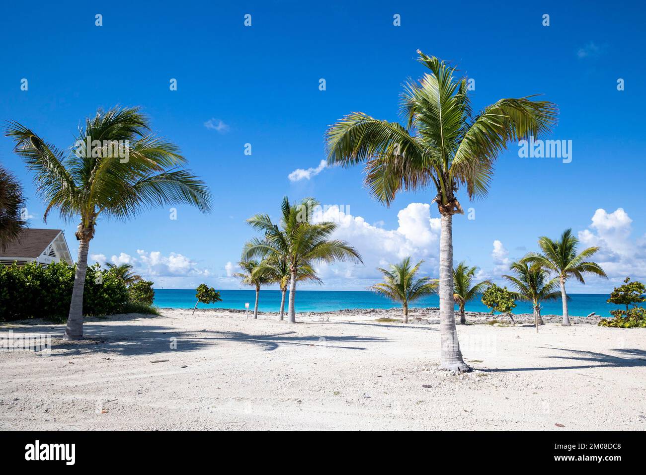 Sandy beaches and palm trees planted for habitat restoration await ...