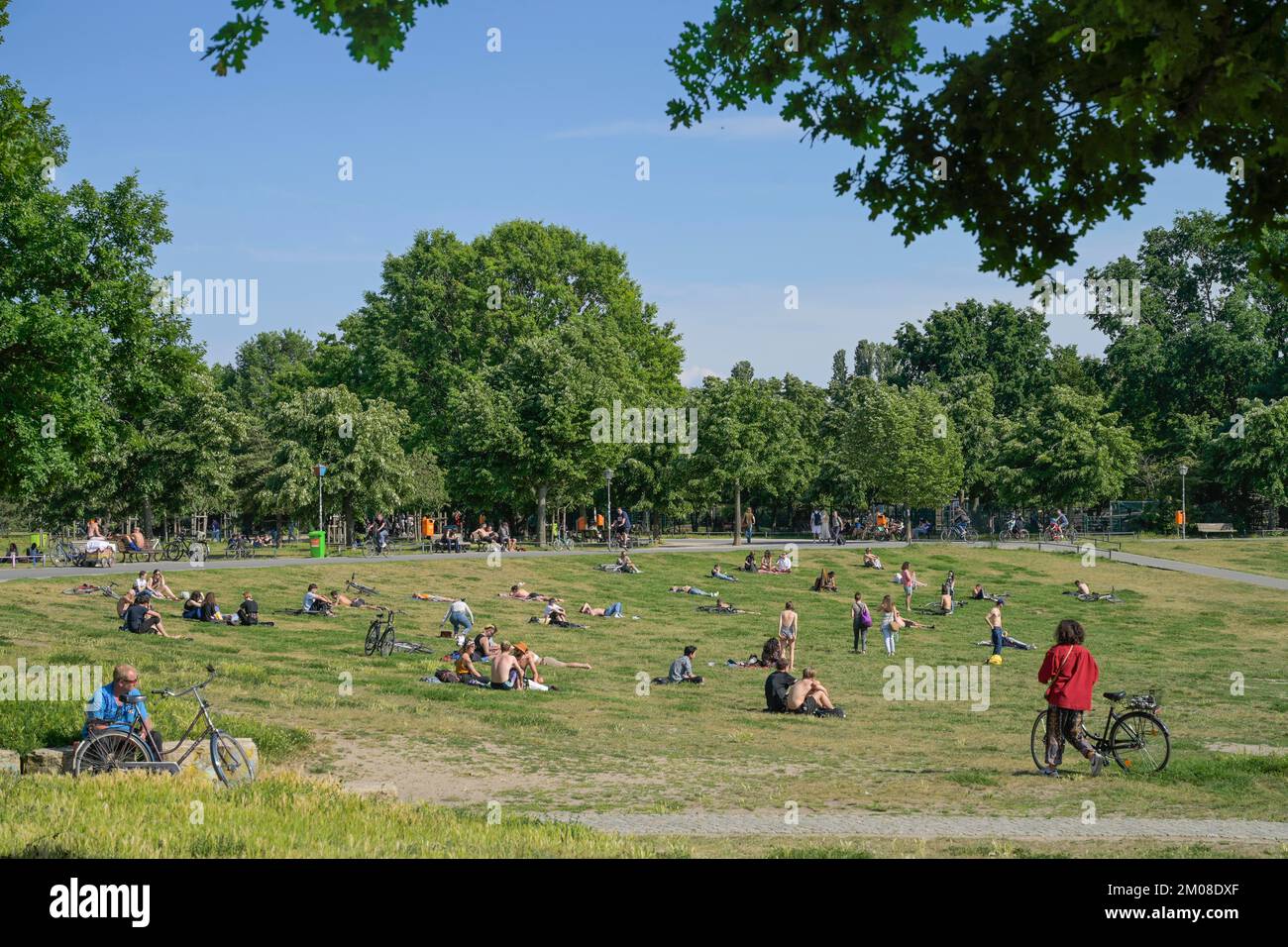 Görlitzer Park, Kreuzberg, Berlin, Deutschland Stock Photo - Alamy
