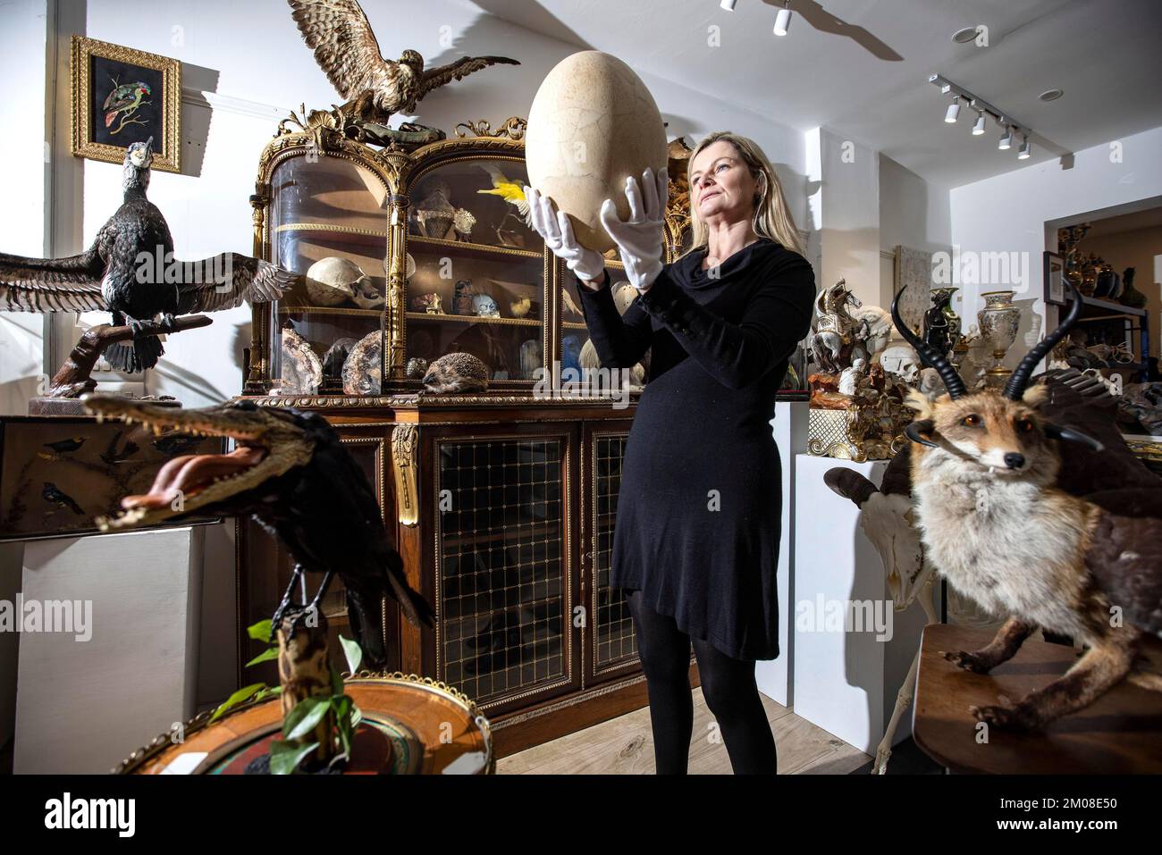 THE WEIRD AND THE WONDERFUL AT CURATED AUCTIONS. Rachael Osborn-Howard ...