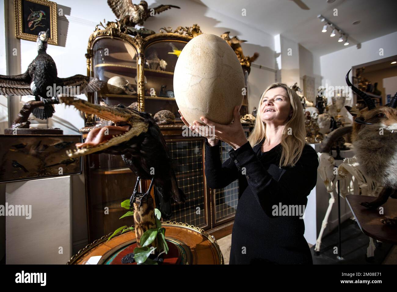 THE WEIRD AND THE WONDERFUL AT CURATED AUCTIONS. Rachael Osborn-Howard ...