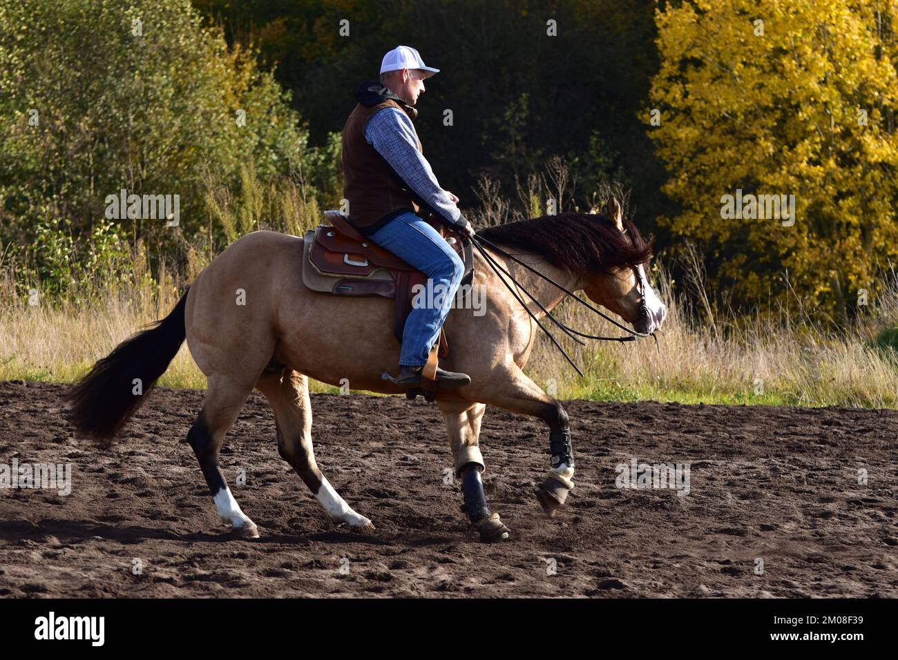 American quarter horse rider on hi-res stock photography and images - Alamy