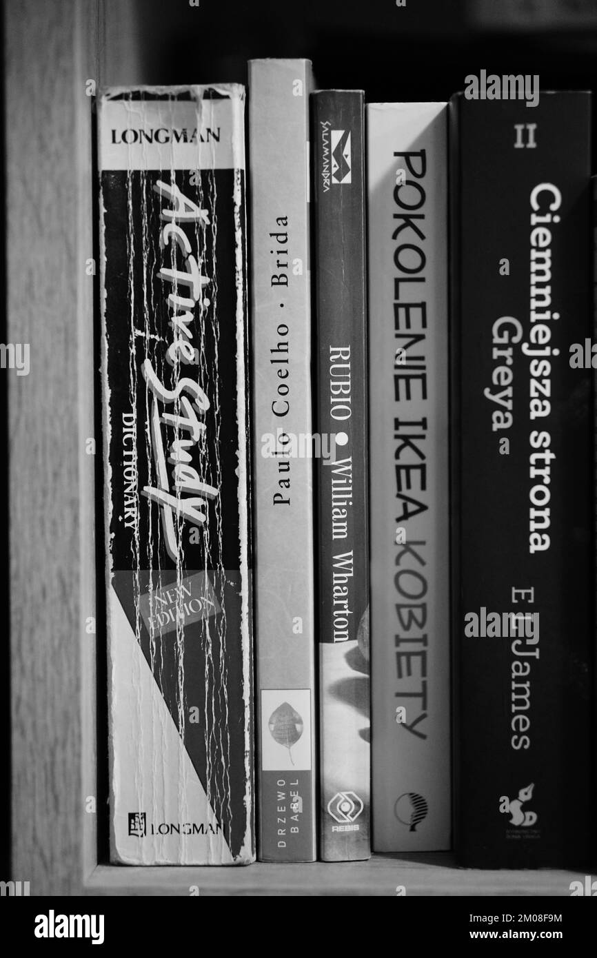 A grayscale closeup view of a row of books arranged on a wooden shelf ...