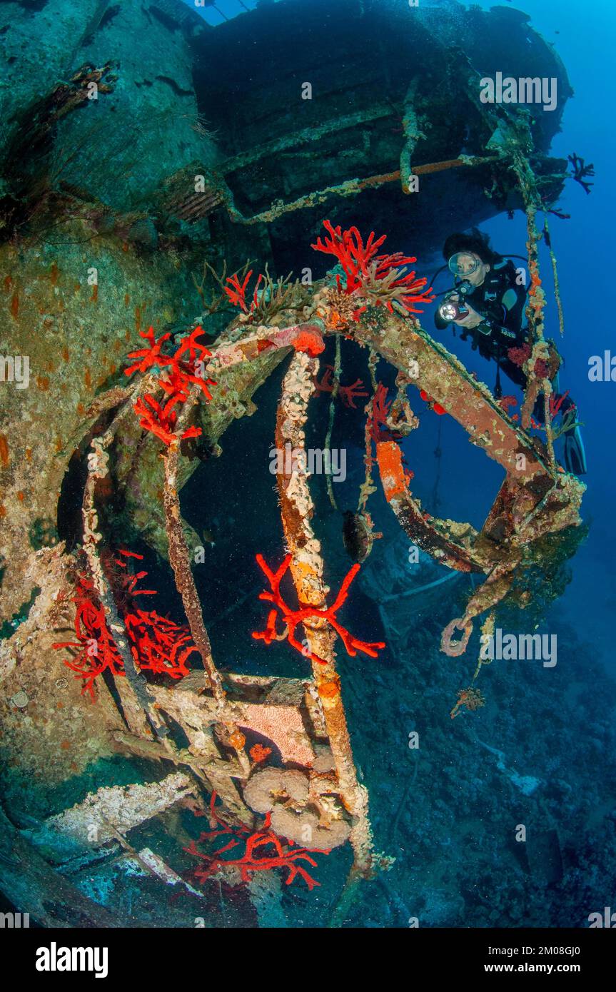 Diver diving through shipwreck Cedar Pride in Gulf of Aqaba looks up at ...