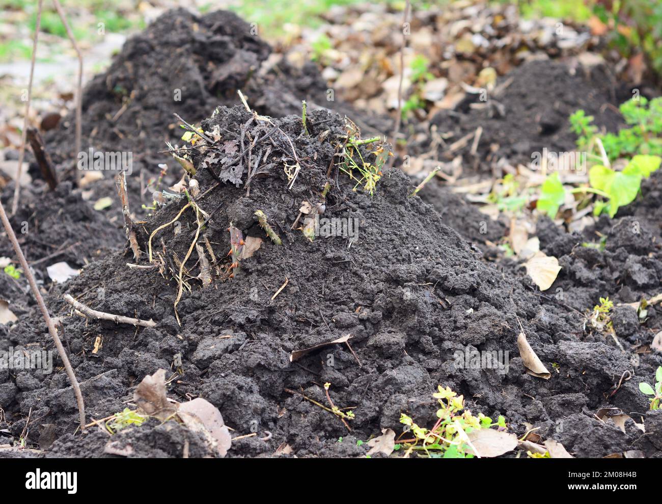 Soil insulation hi-res stock photography and images - Alamy