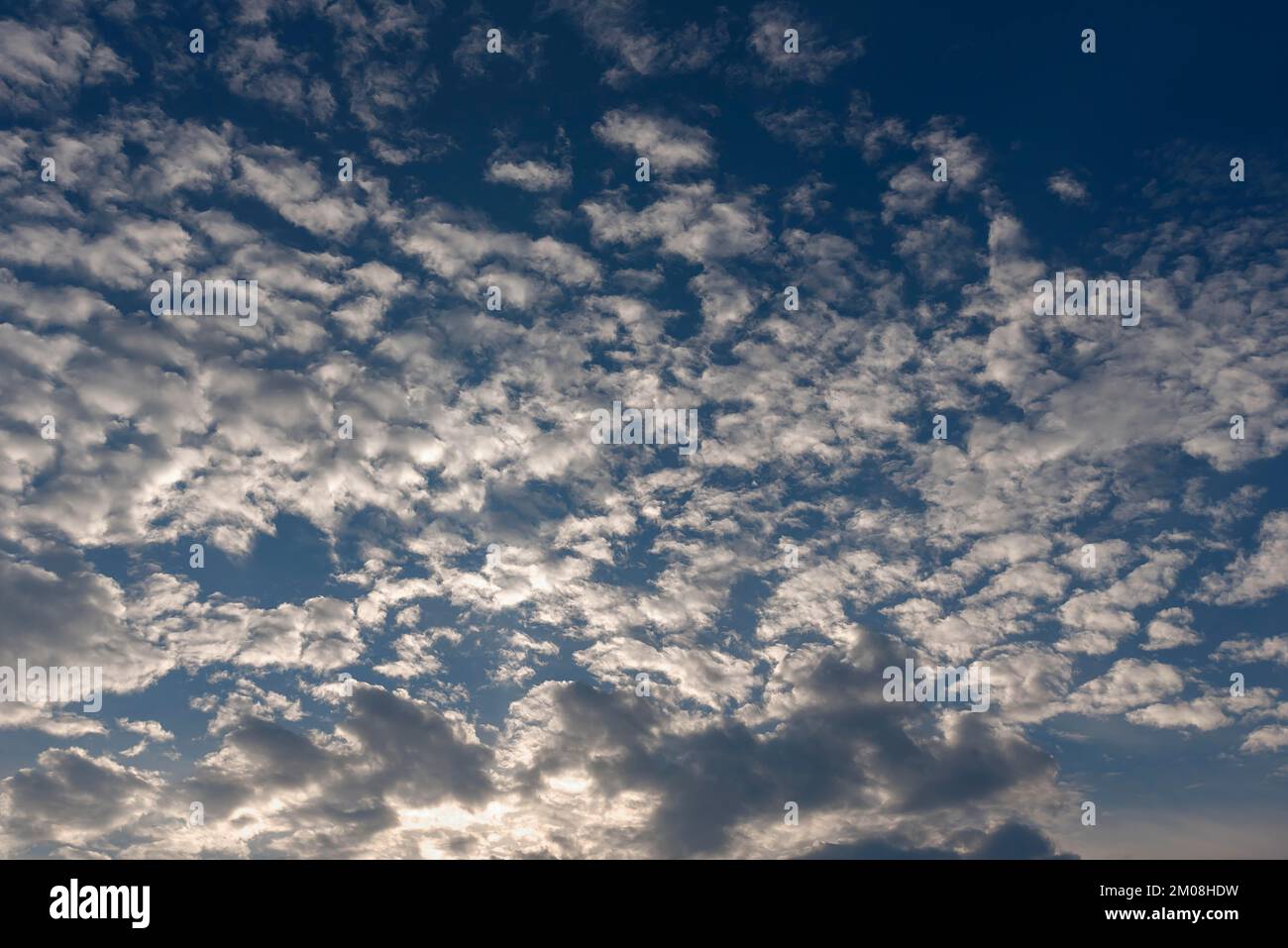 Large fleecy clouds (Altocumulus), Bavaria, Germany, Europe Stock Photo ...