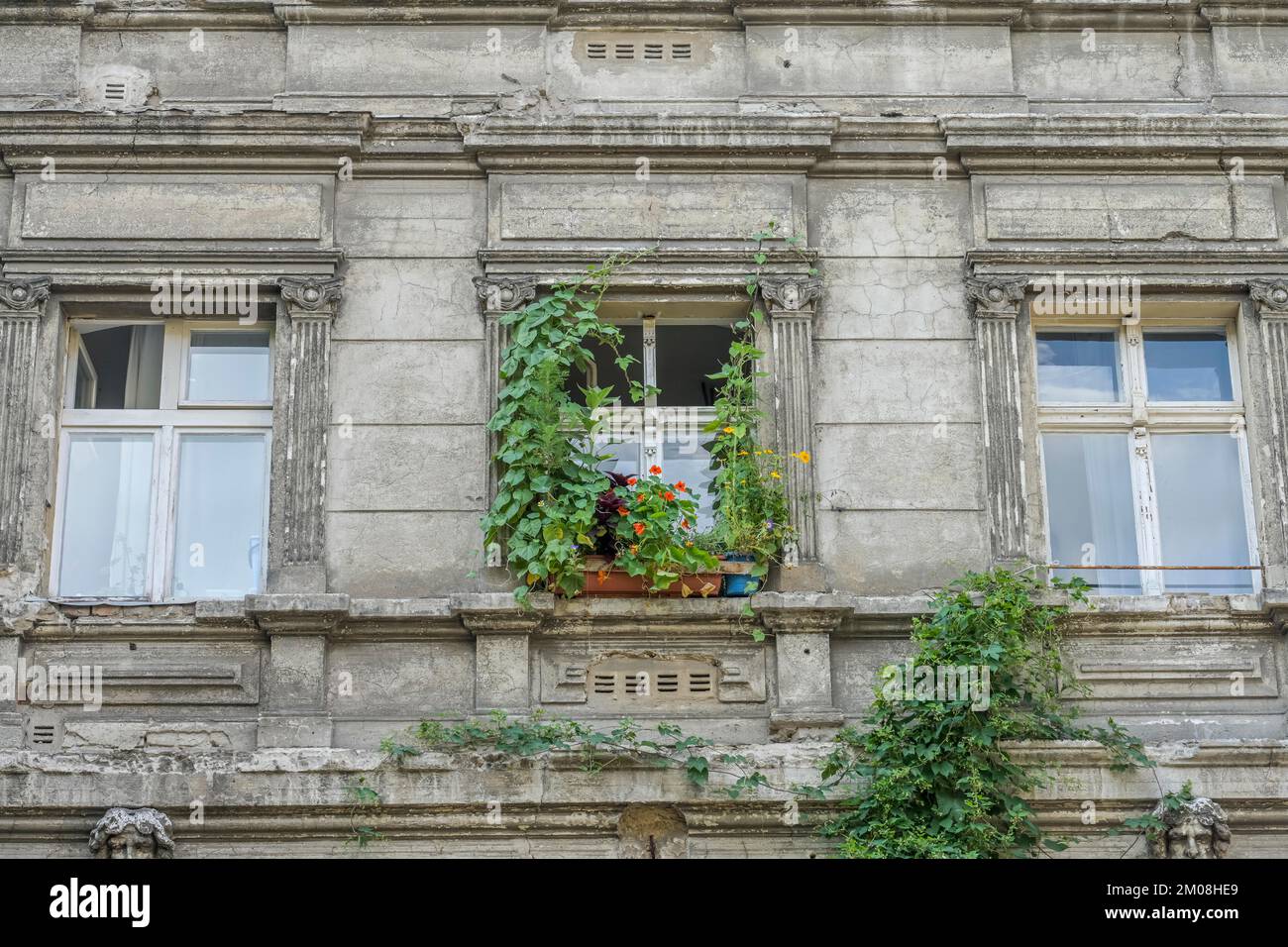 Neue alte fassade hi-res stock photography and images - Alamy