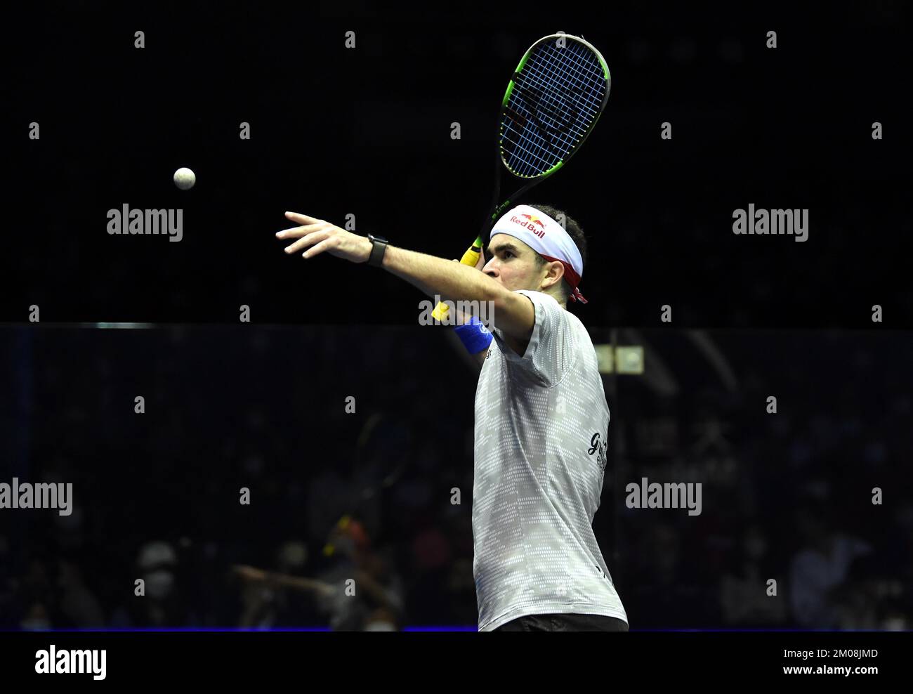 Egyptian professional squash player Mostafa Asal defeated squash player ...