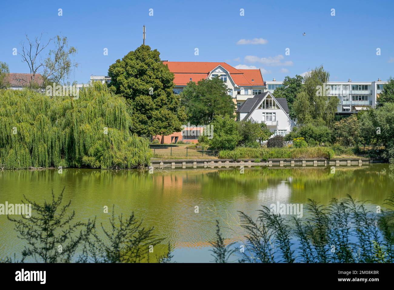 Obersee, Bezirk Weißensee, Pankow, Berlin, Deutschland Stock Photo - Alamy