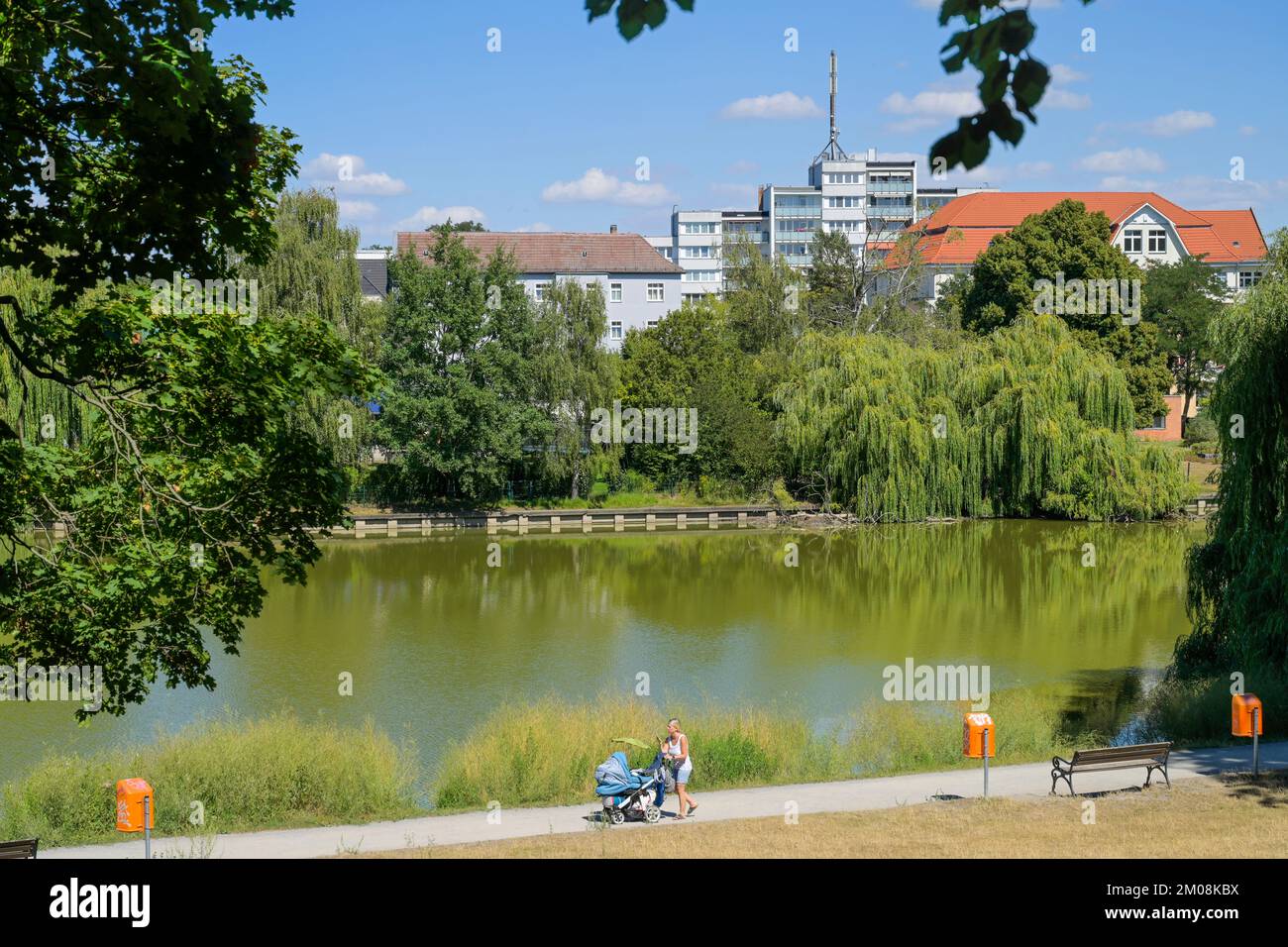 Obersee, Bezirk Weißensee, Pankow, Berlin, Deutschland Stock Photo - Alamy