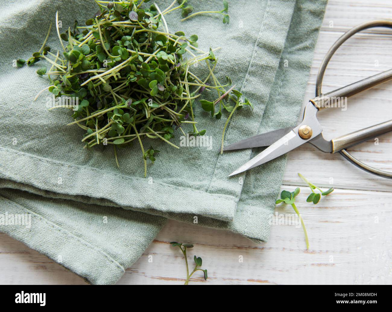 Fresh radish green stem hi-res stock photography and images - Alamy
