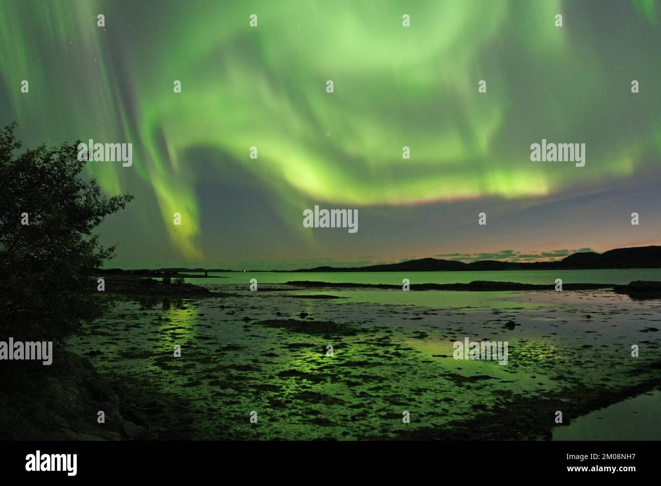 Northern Lights (aurora borealis), fjord at low tide, Offersöy, FV 17 ...