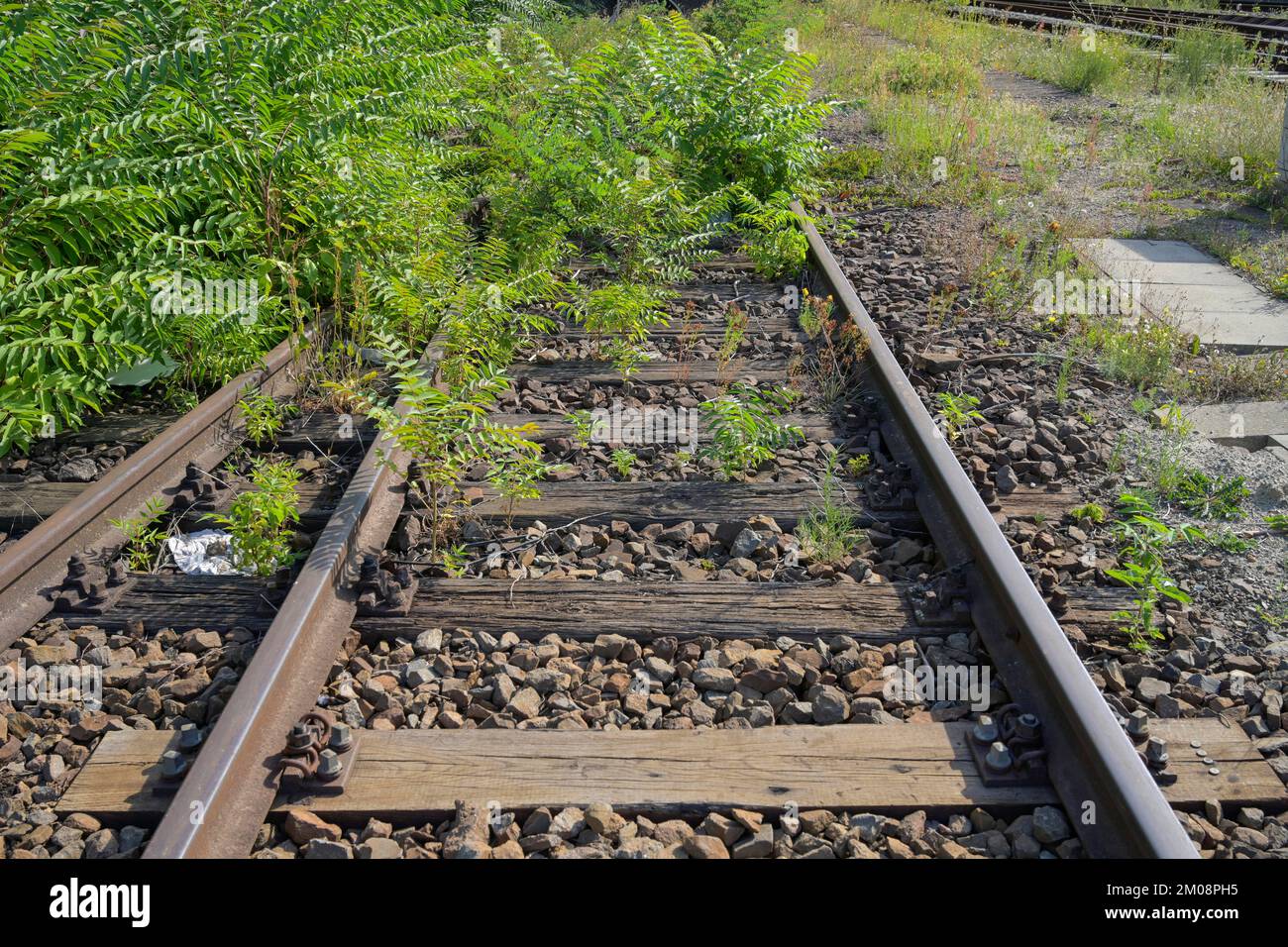 Schienen gleise hi-res stock photography and images - Alamy