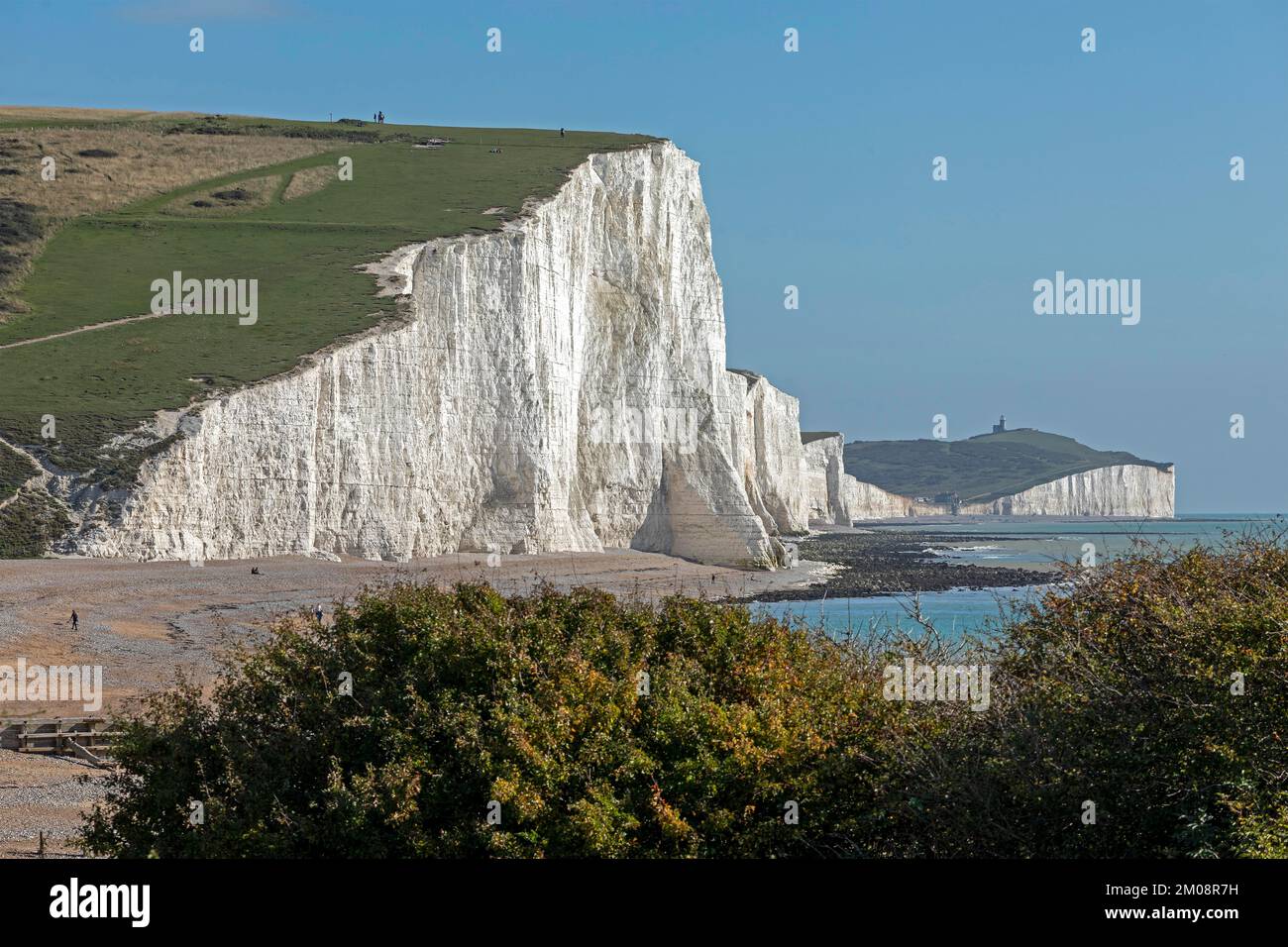 Cuckmere Haven, chalk cliffs The Seven Sisters, bushes, South Downs, England, Great Britain ...
