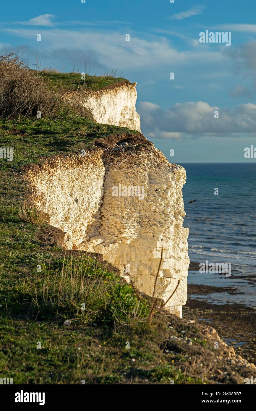 Birling Gap, part of The Seven Sisters chalk cliffs, South Downs ...