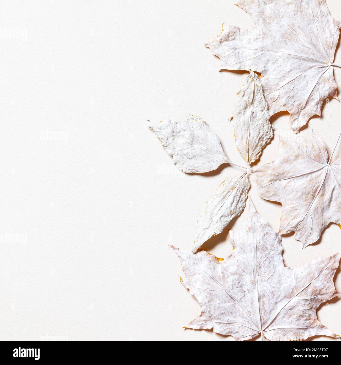 Nordic style still life with dry maple leaves and twigs Stock Photo - Alamy