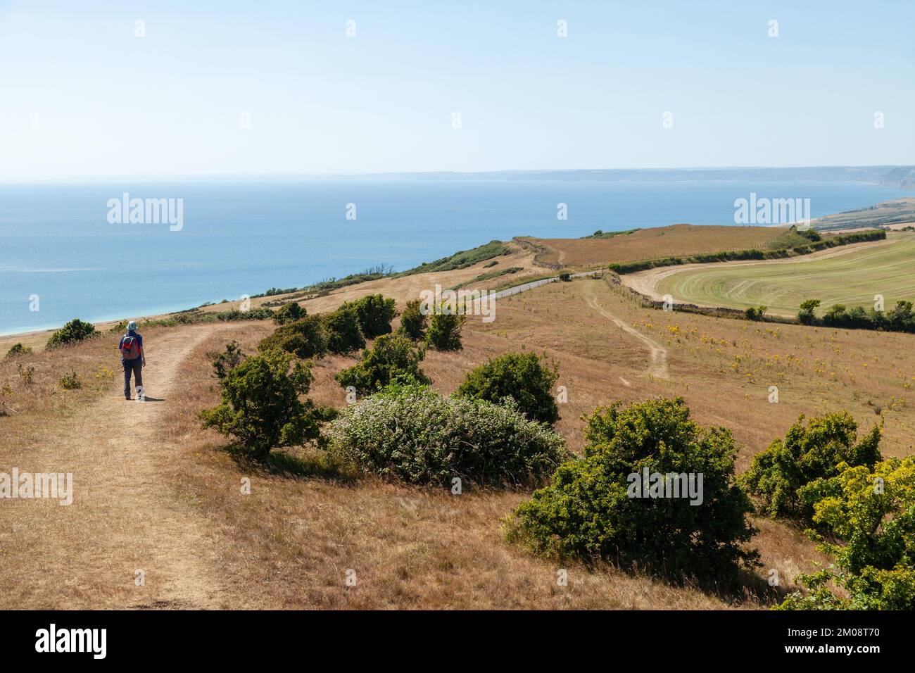 A walker on the South Dorset Ridgeway heading towards the village of ...