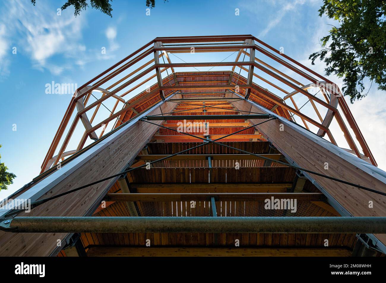 Wooden observation tower, view from below, tree-top walk in the Rügen ...