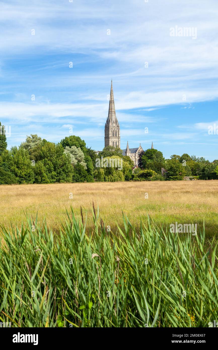 Salisbury Cathedral viewed from the Town Path over the Water Meadows ...