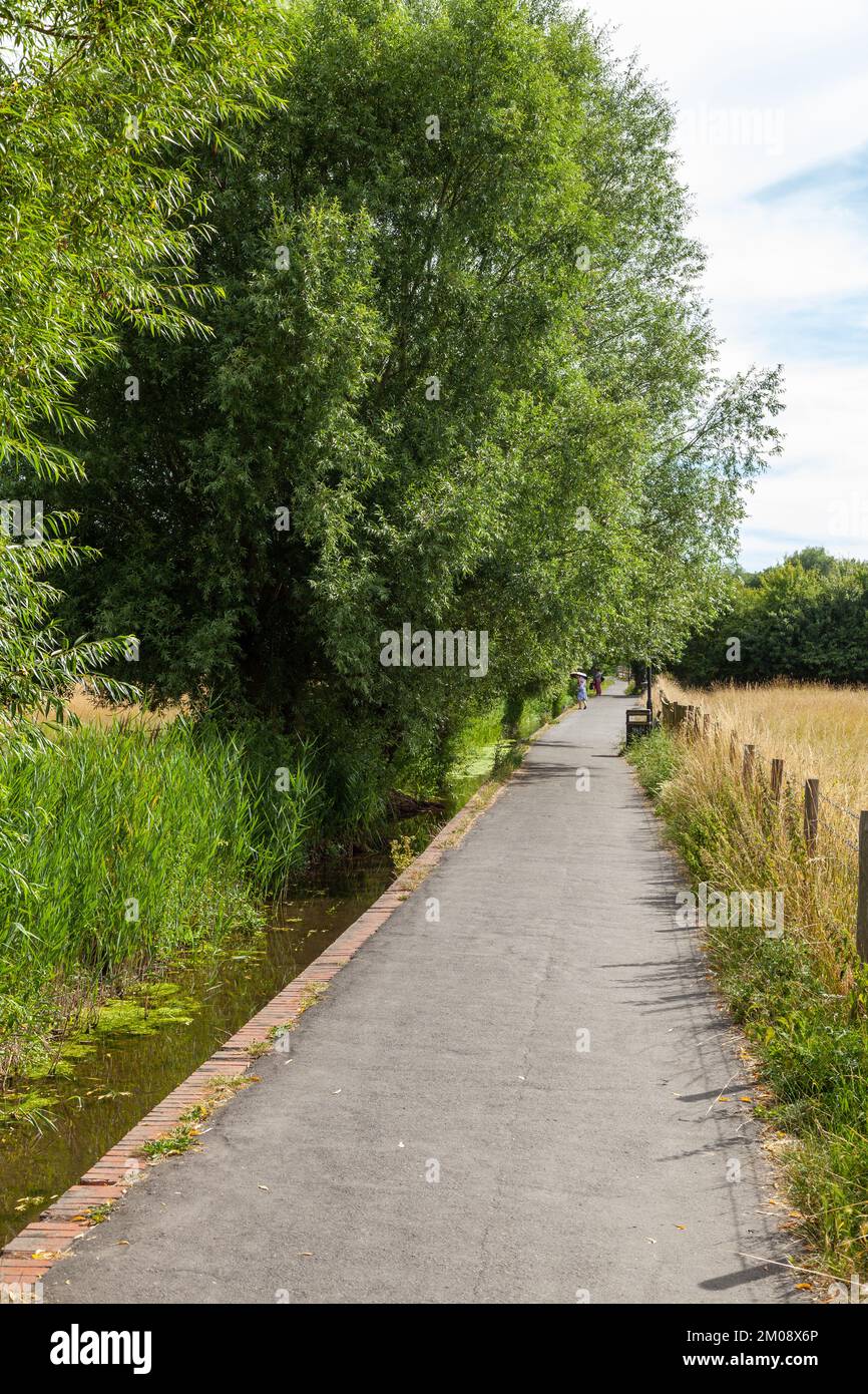 The town path from Salisbury town centre to Harnham, Wiltshire England ...