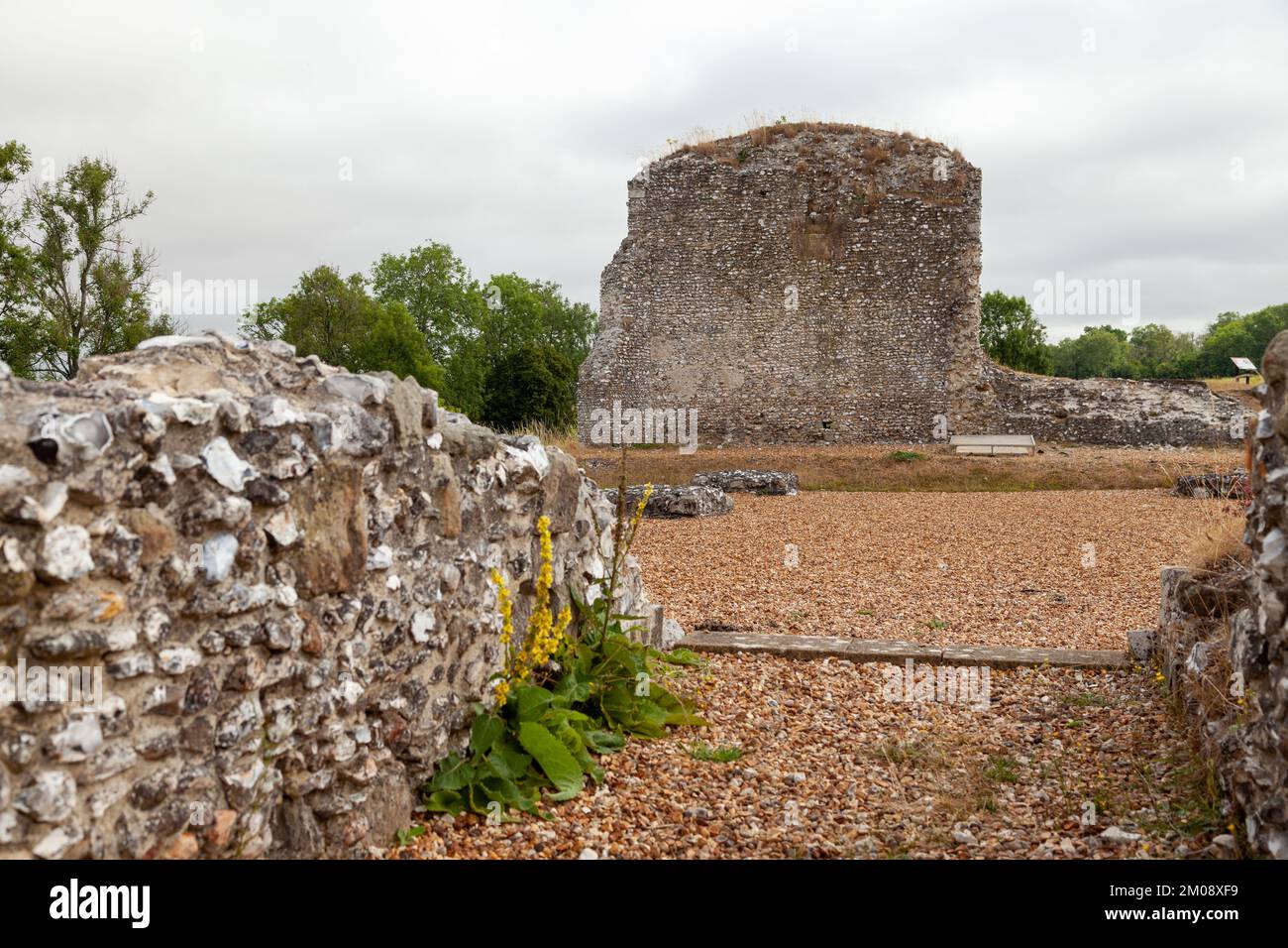 Clarendon Palace ruins near Salisbury Wiltshire UK Stock Photo - Alamy