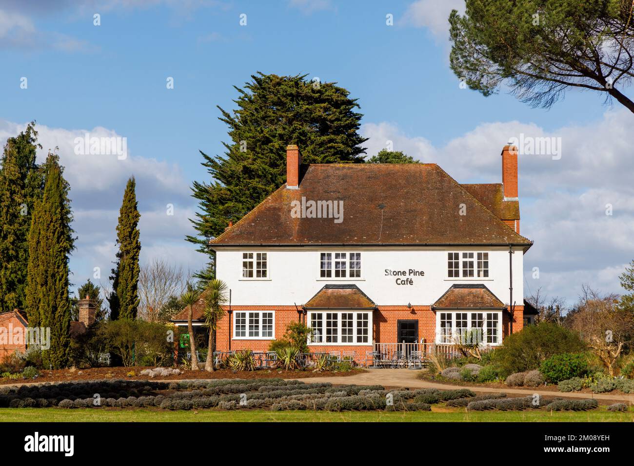 The Stone Pine Cafe in Howard's Field at RHS Garden Wisley, Surrey ...