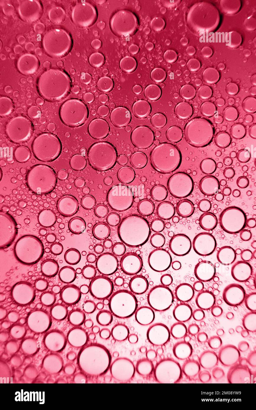 abstract light viva magenta background with oil circles . bubbles of ...