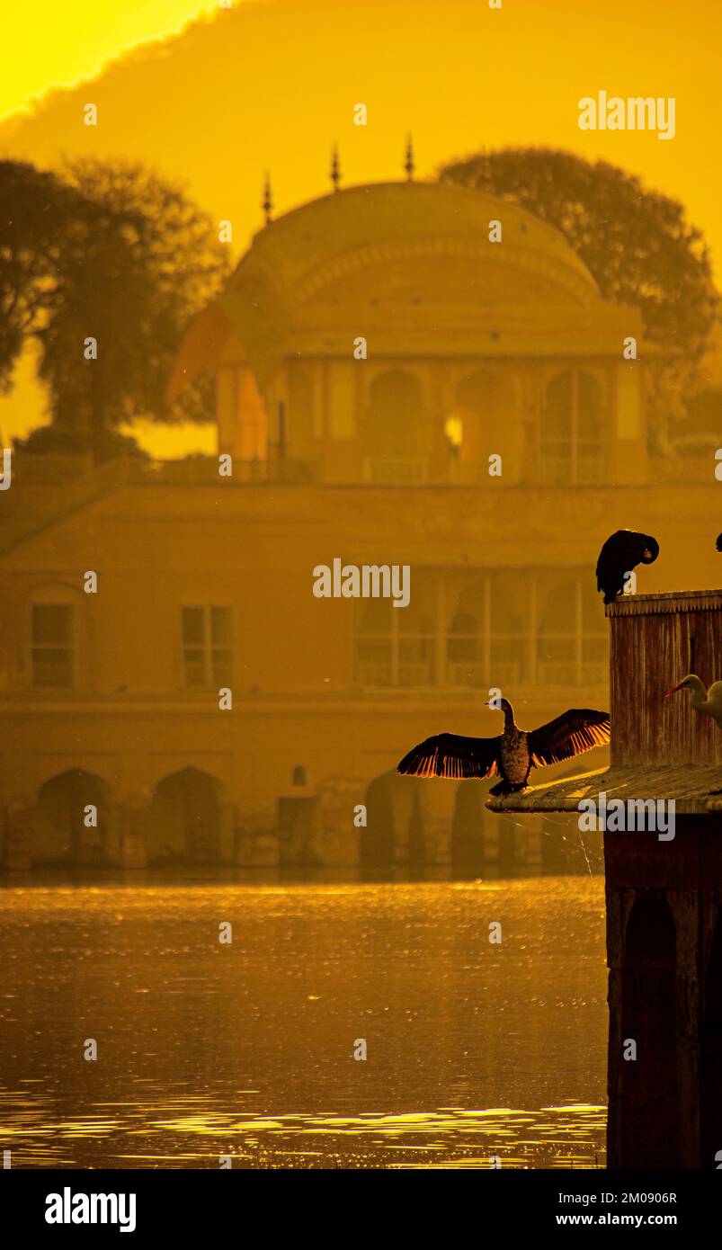 Aerial view jal mahal hi-res stock photography and images - Alamy