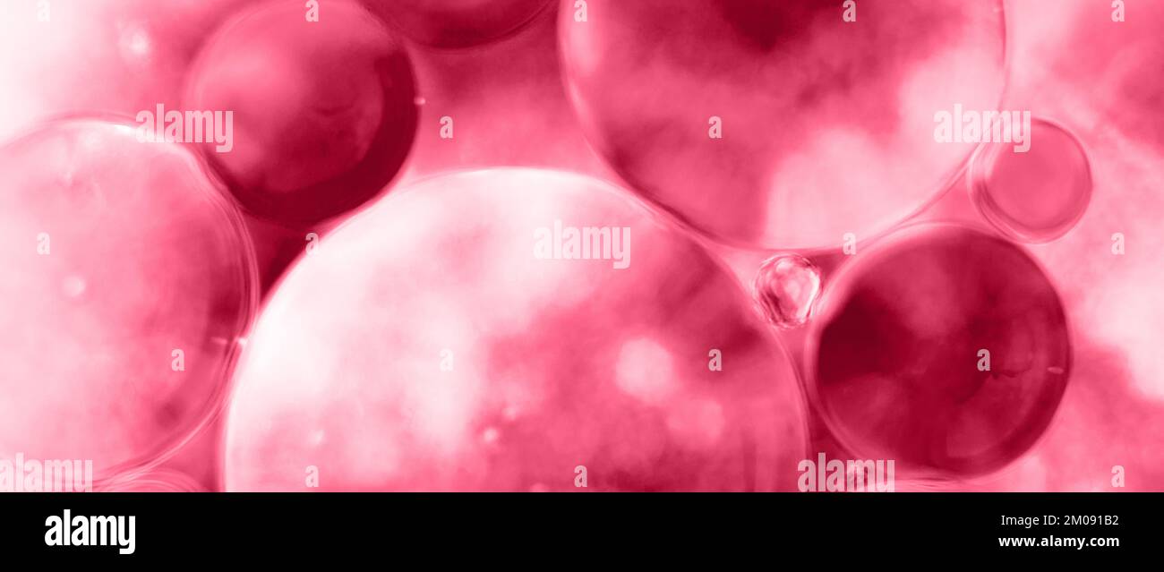 abstract light viva magenta background with oil circles . bubbles of ...