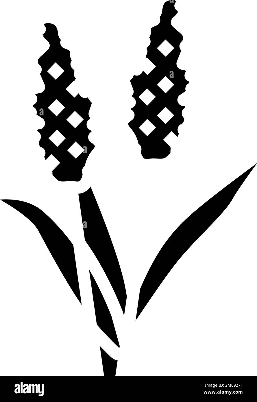 sorghum plant food glyph icon vector illustration Stock Vector Image ...