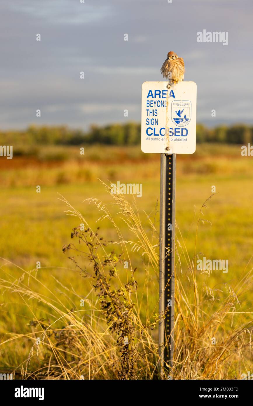 A white sign with the "Area beyond this sign closed" writing with a ...