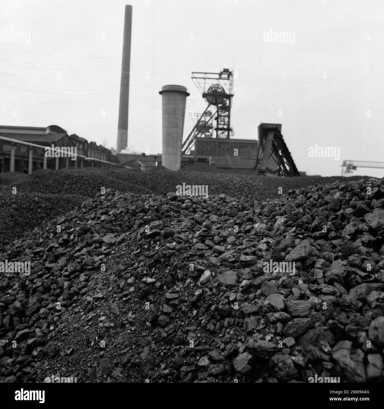 Environmental protests Black and White Stock Photos & Images - Alamy