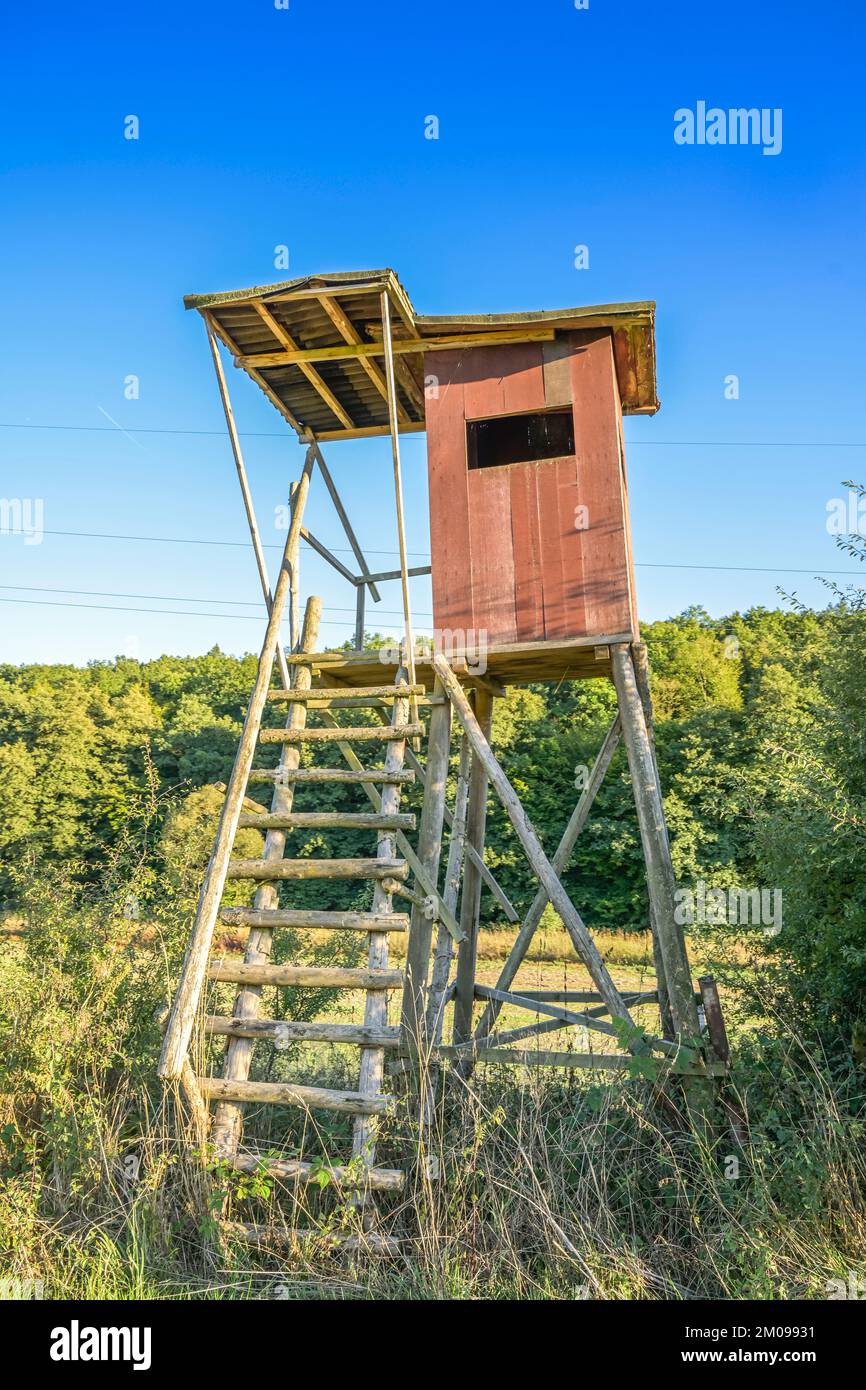 Hochsitz, Marburger Bergland, Hessen, Deutschland Stock Photo - Alamy