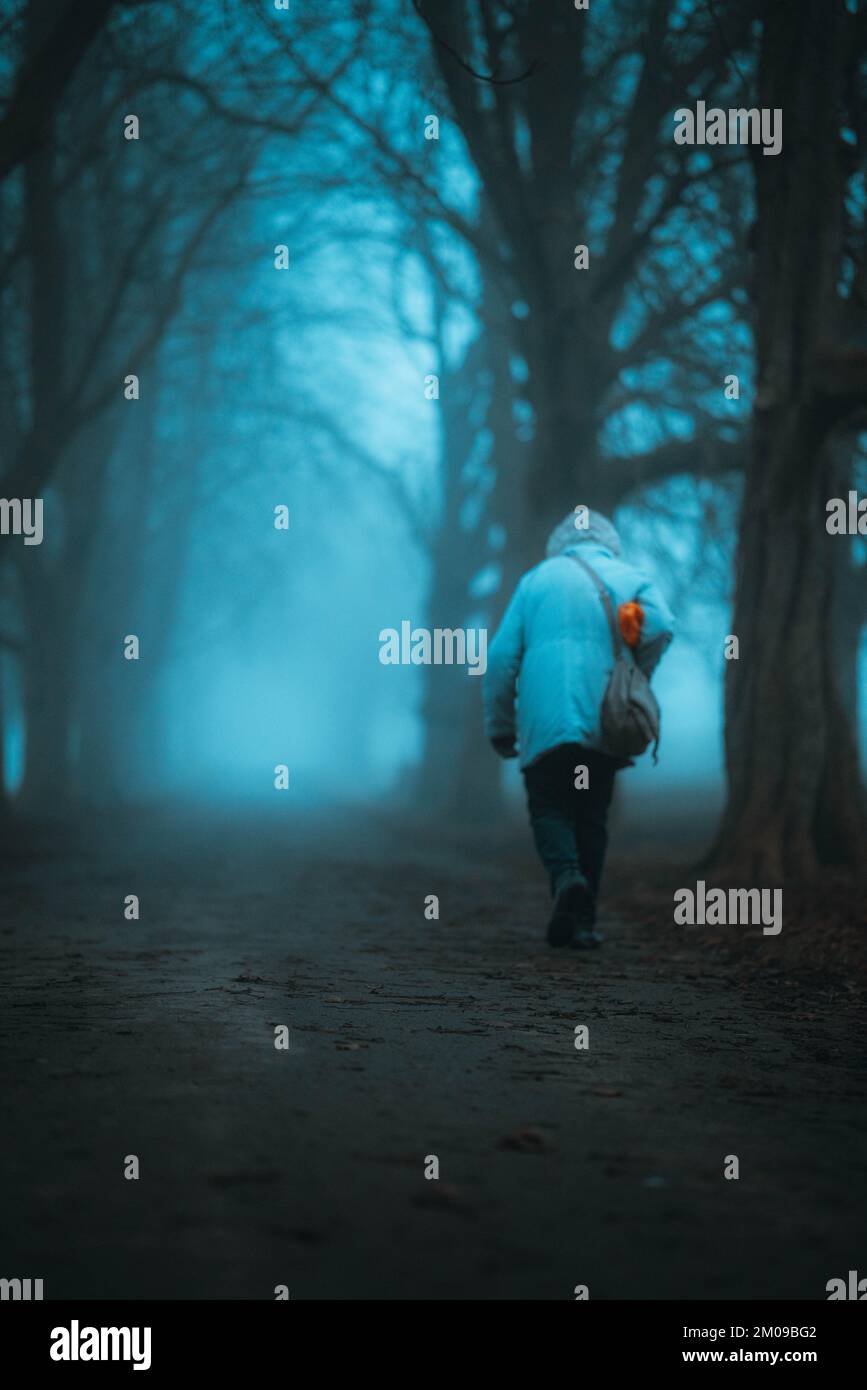 A vertical rear view of person walking in park alley surrounded by ...