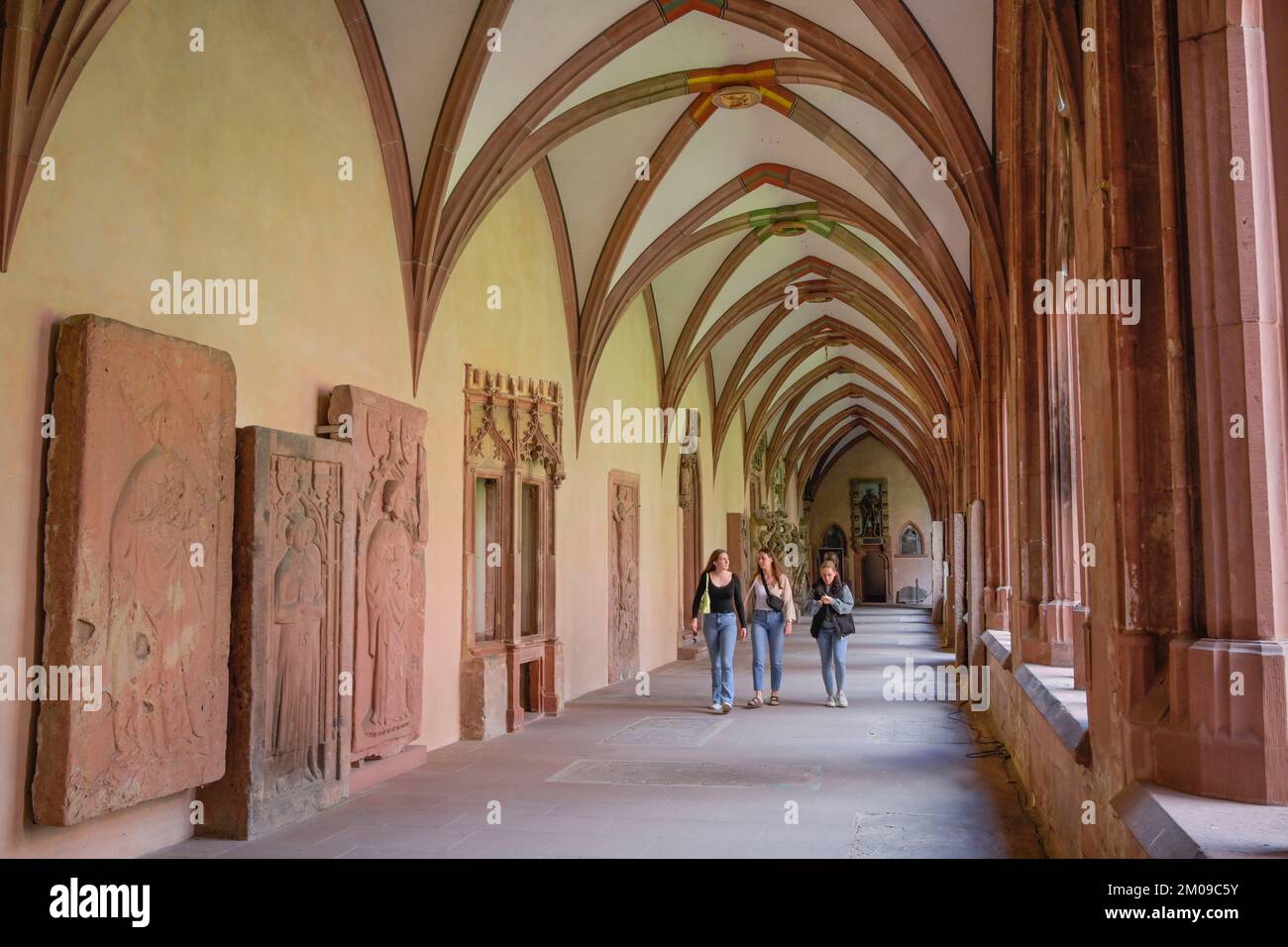 Kreuzgang, Dom, Mainz, Rheinland-Pfalz, Deutschland Stock Photo - Alamy