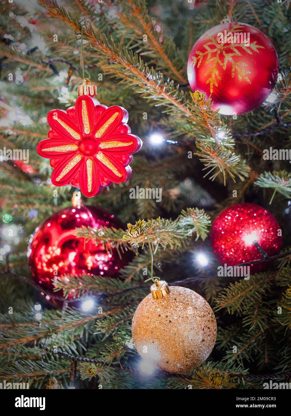 Christmas tree topper ( angels and Christmas stars ) at the annual ...