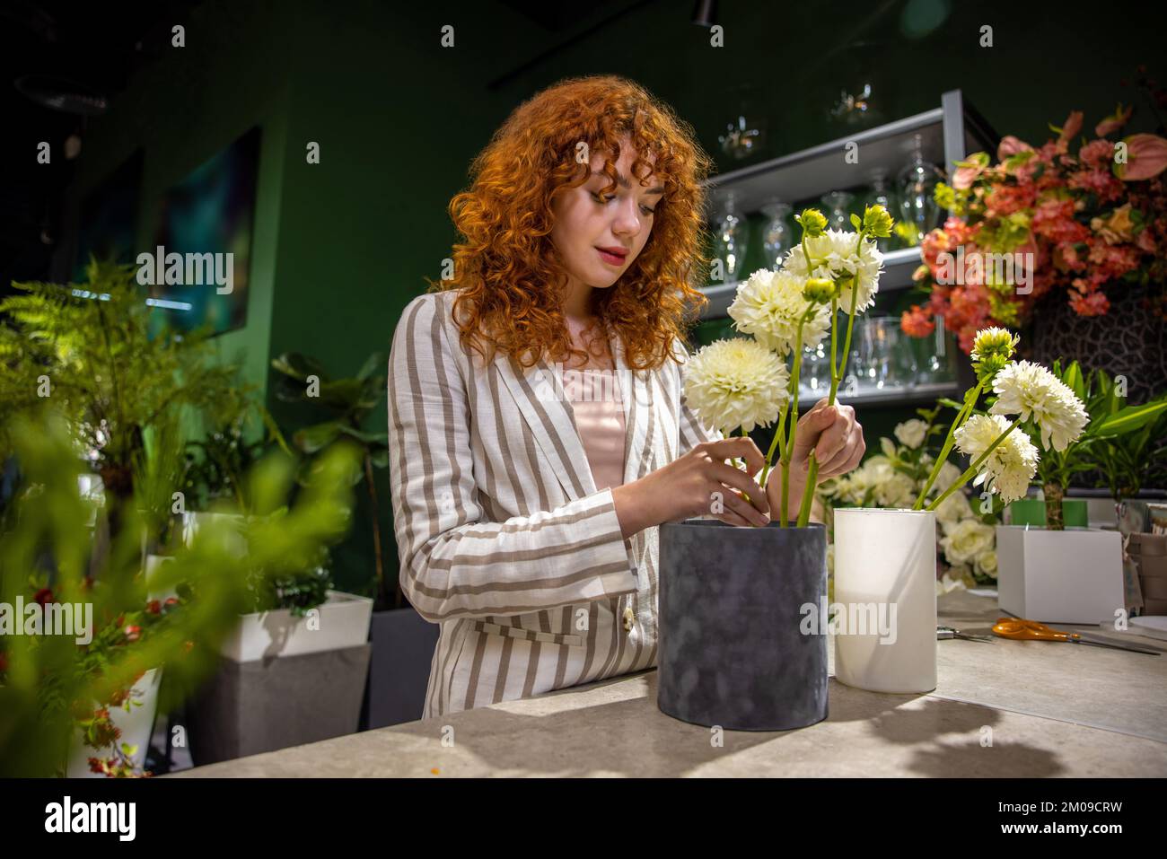 Curly-haired ginger florist holding flower pots Stock Photo - Alamy