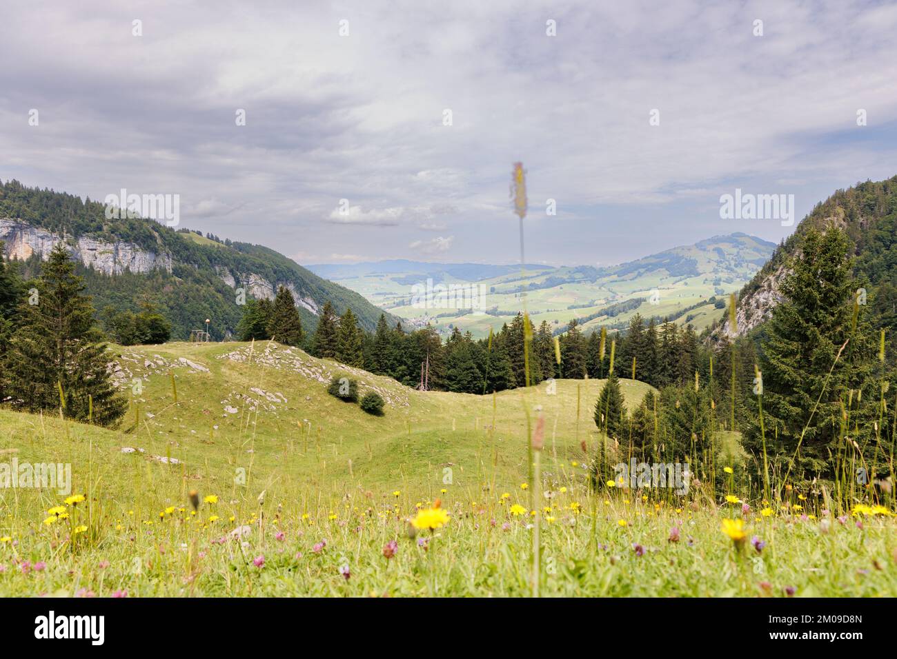 An aerial view of rural green hills and trees under a bright sky in ...