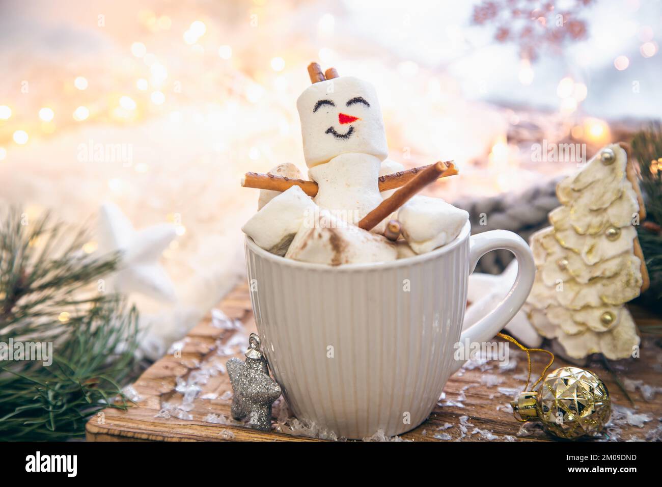 Winter marshmallow cup cartoon hi-res stock photography and images - Alamy