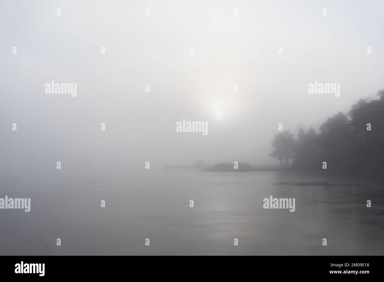 A small house at the coast of sweden and sun breaking through dense fog ...