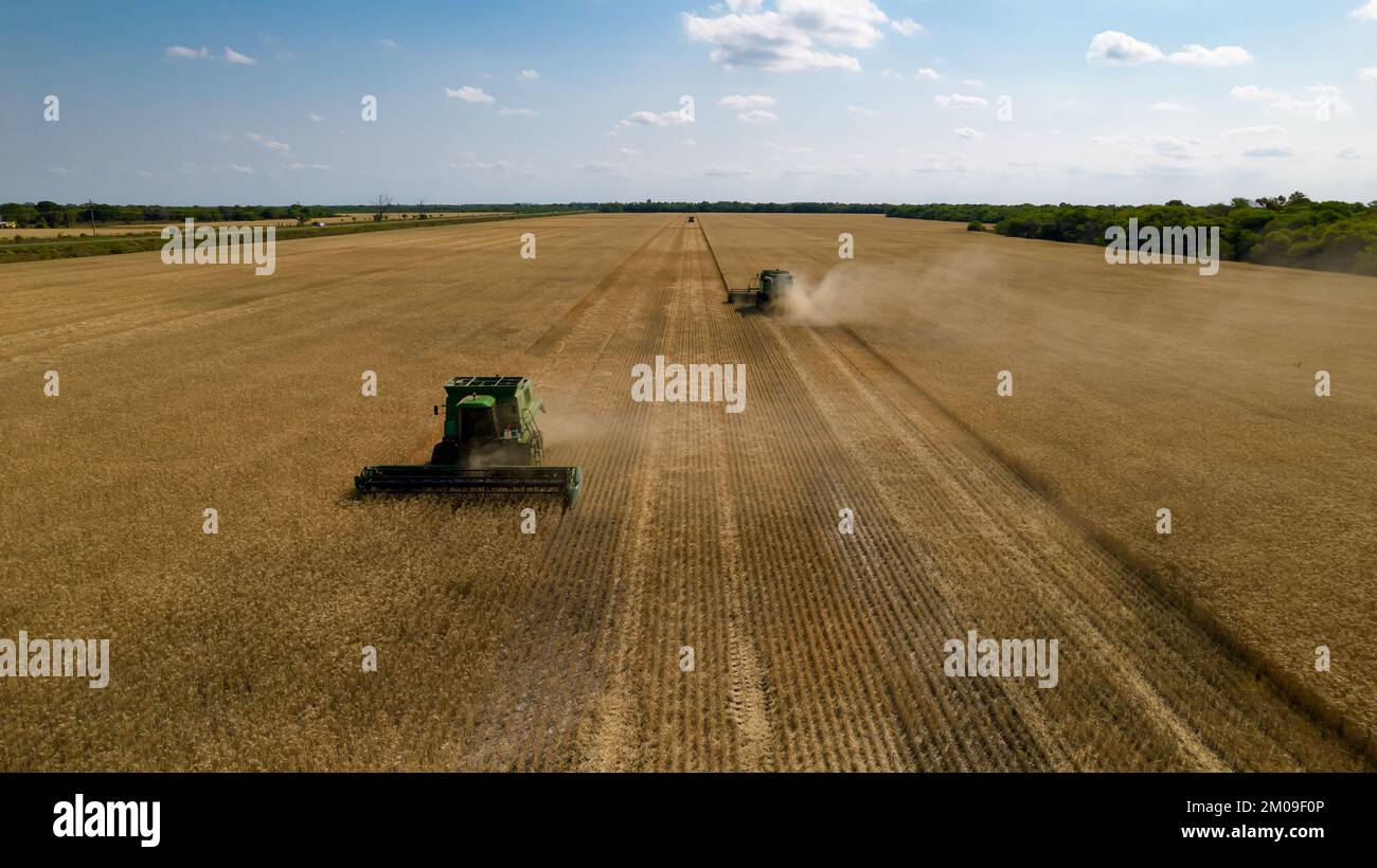 An aerial of a wheat harvesting machine working in a large field of ...