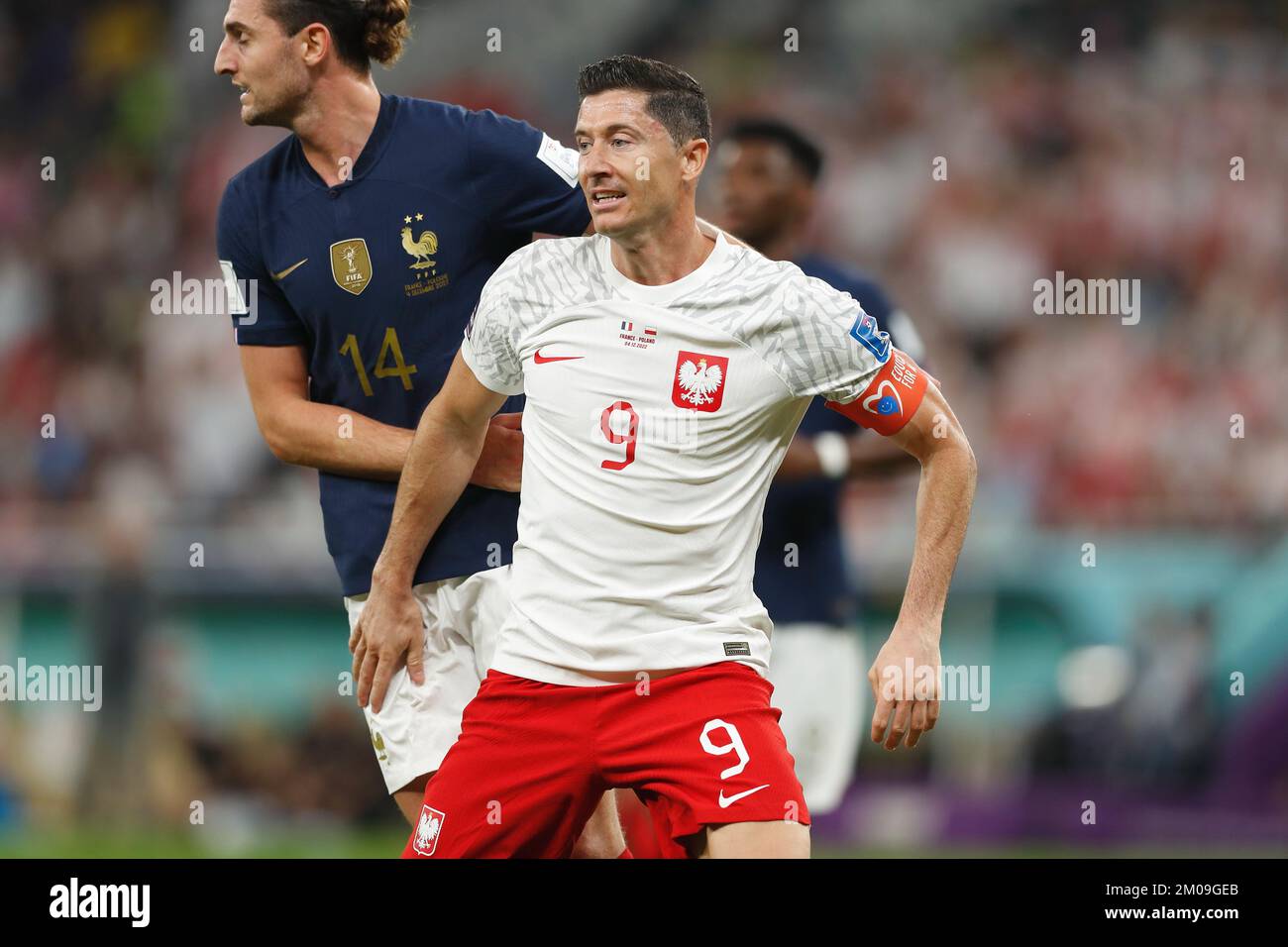 Robert Lewandowski (POL), DECEMBER 4, 2022 - Football / Soccer : FIFA ...