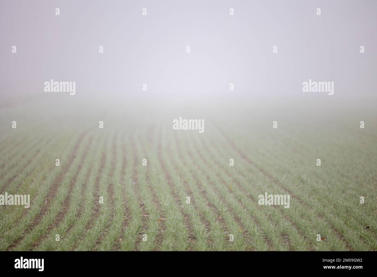 A high angle of a wet land during rainy season Stock Photo - Alamy