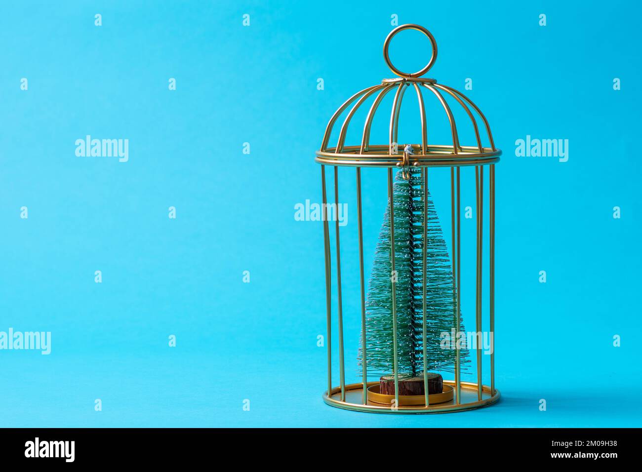 Tree cage hi-res stock photography and images - Alamy