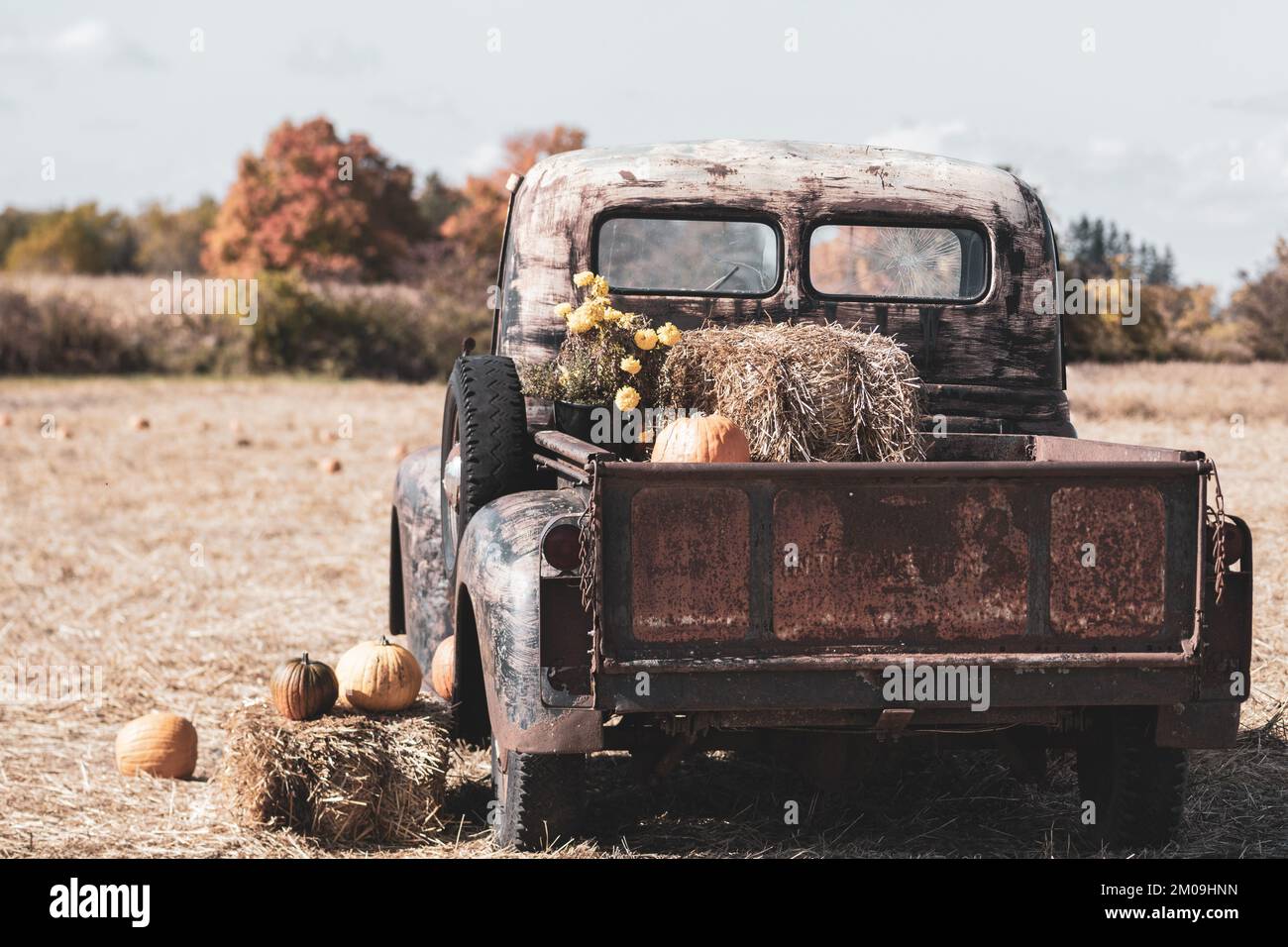 Old rusty truck decorated hi-res stock photography and images - Alamy