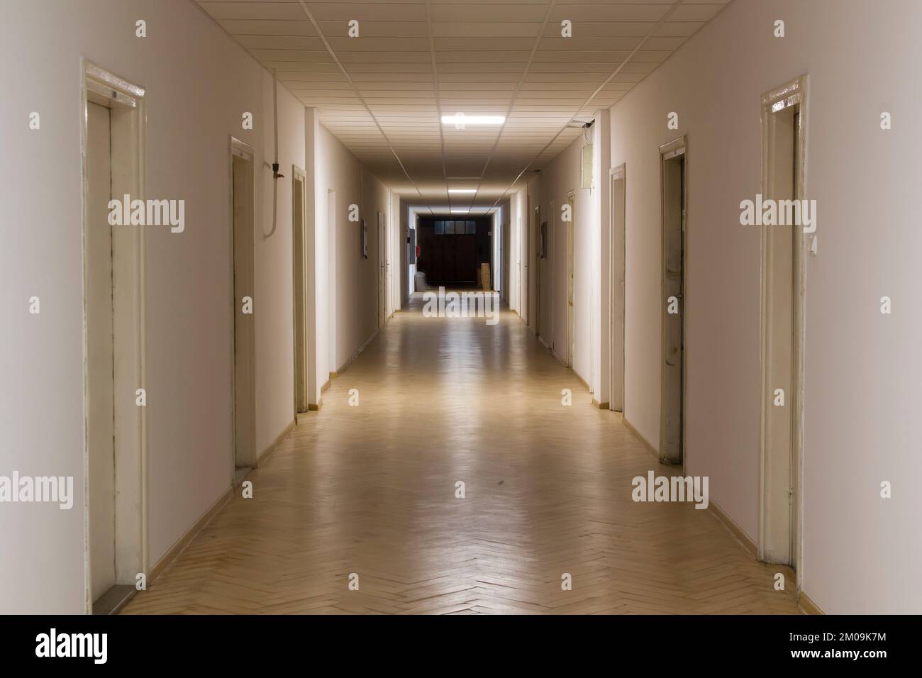 old business building corridor with doors and wooden floor Stock Photo ...