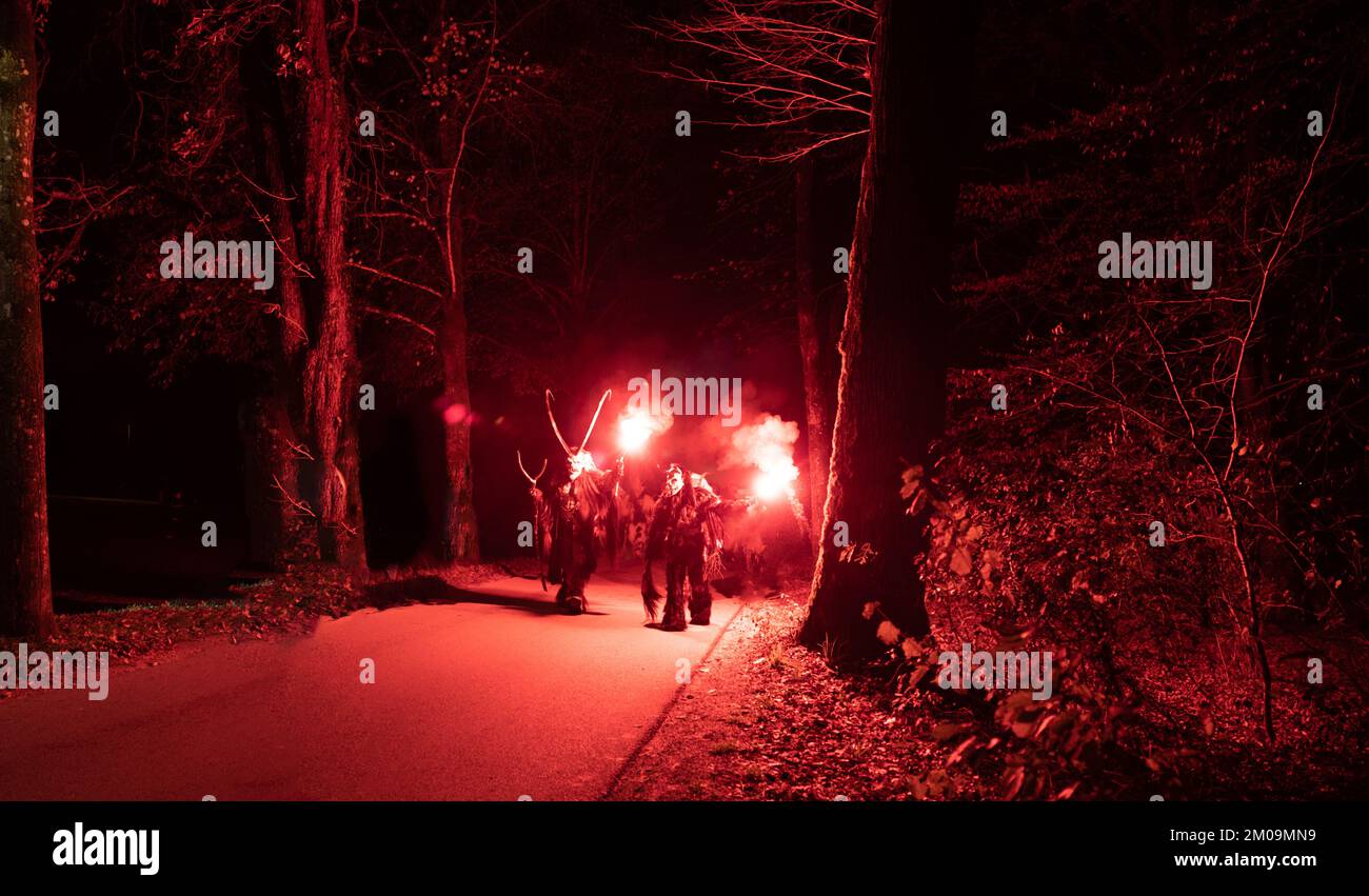 In the dark forest there is a procession of Krampus, devils from ...
